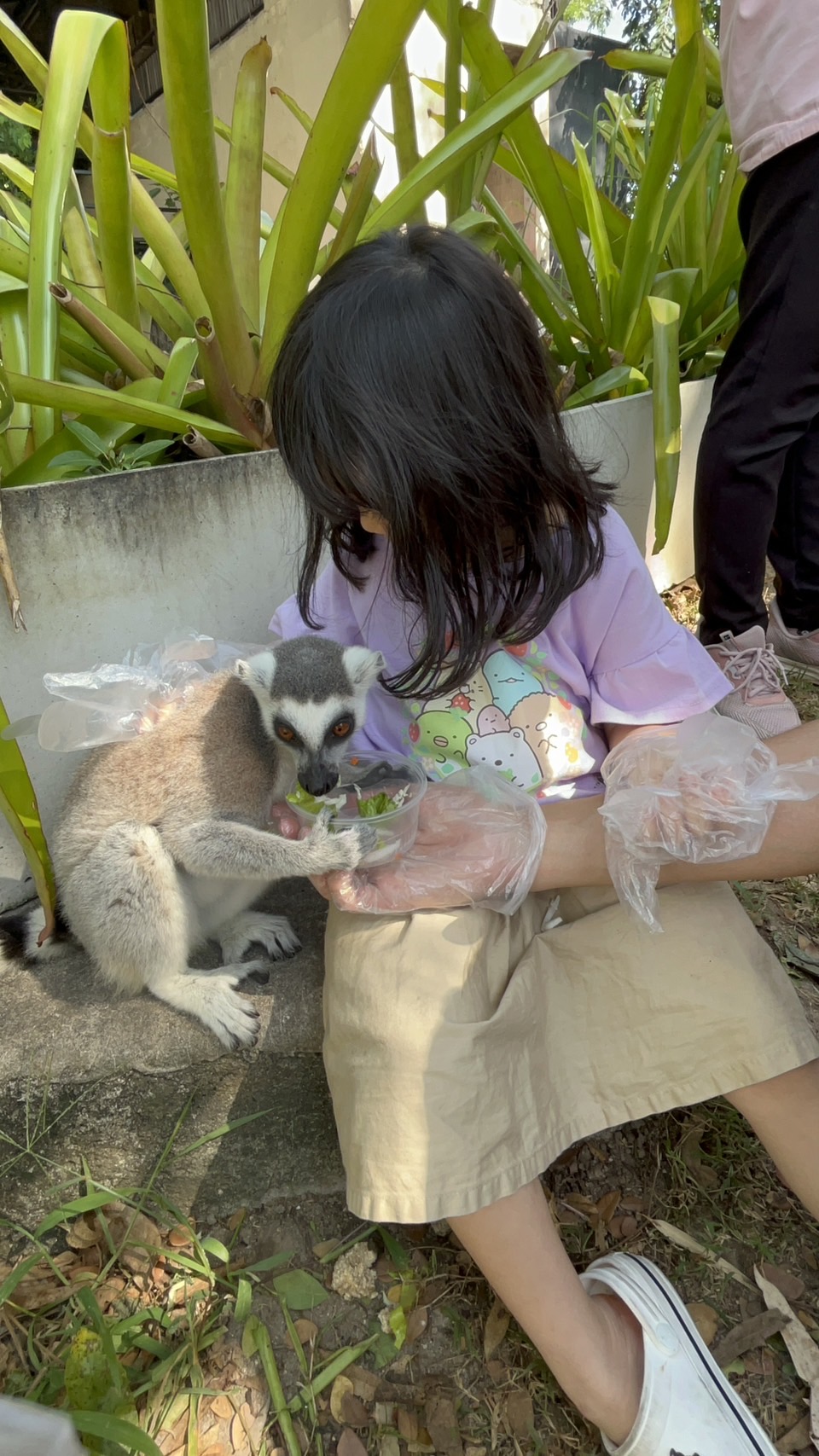【2023最新版】動物との距離が近い！カオキアオ動物園 | タイ駐在妻まりのTHAI LIFELOG | タイ（シラチャ）の生活情報