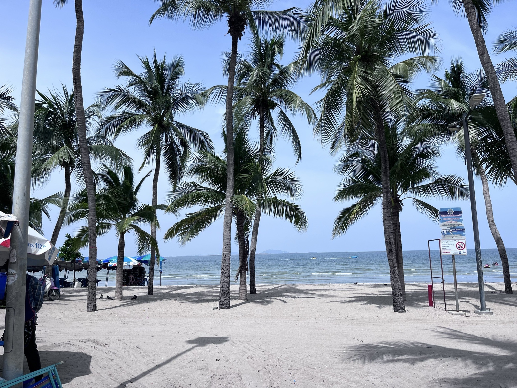 【SnowMan向井康二くん】ファインダーMV ロケ地巡りにいってきた | タイ駐在妻まりのTHAI LIFELOG | タイ（シラチャ）の生活情報